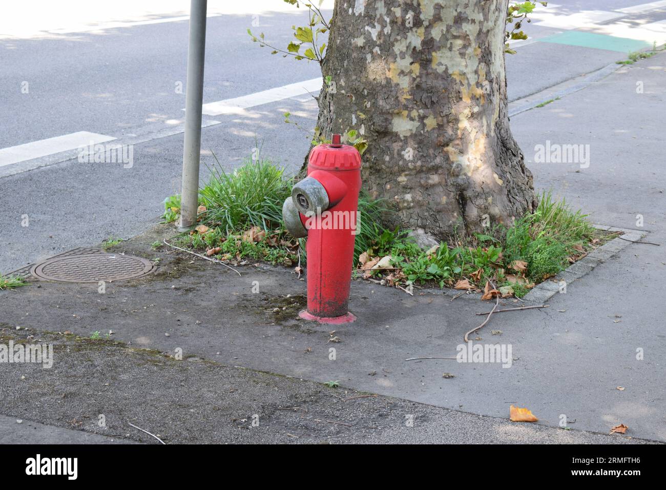 fire hydrant in the street Stock Photo - Alamy