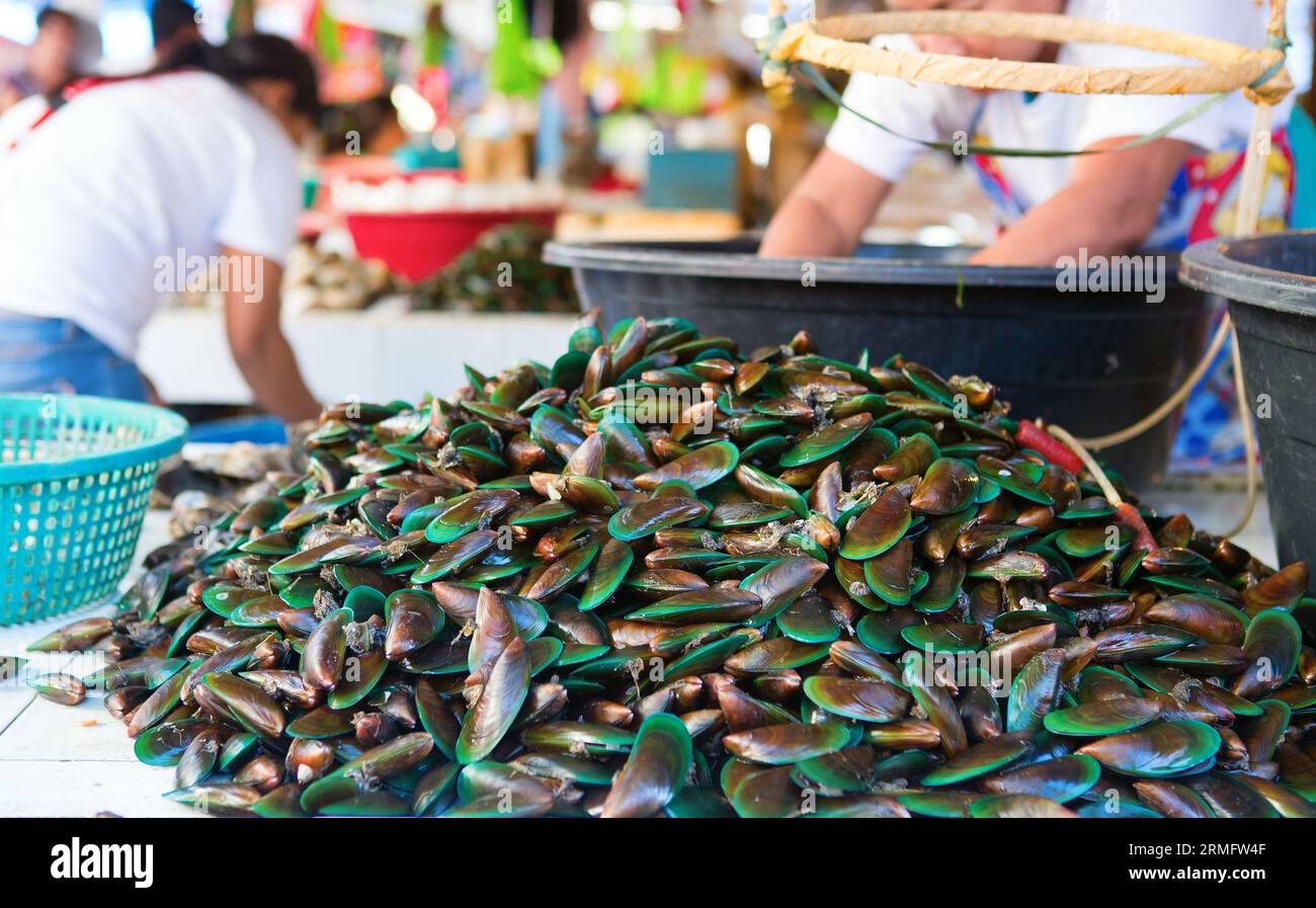 Fresh clams on seafood market on Boracay island, Philippines Stock ...