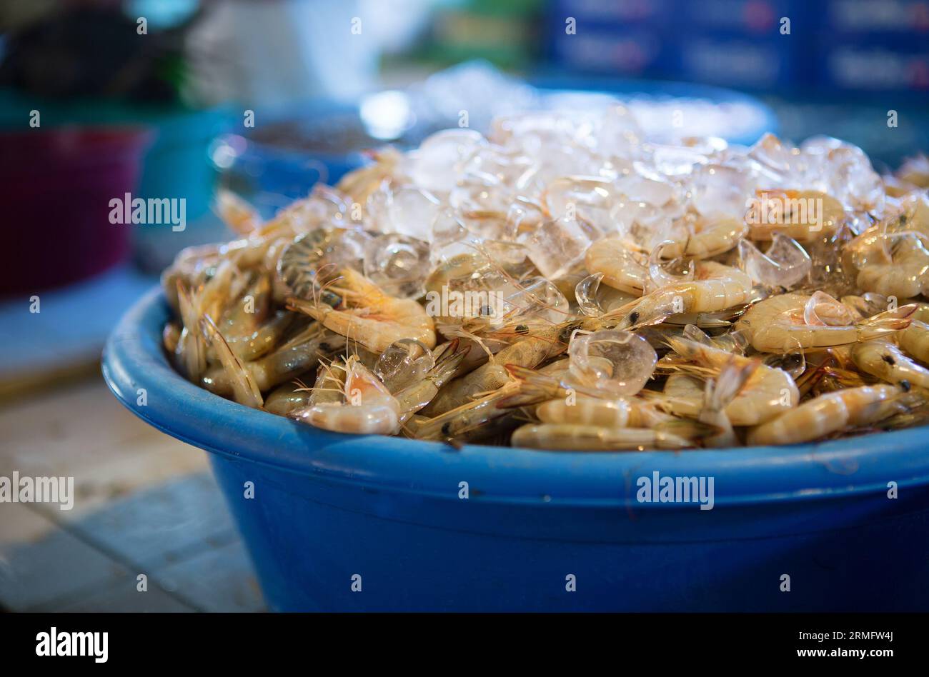 Fresh prawn on a fish market Stock Photo - Alamy