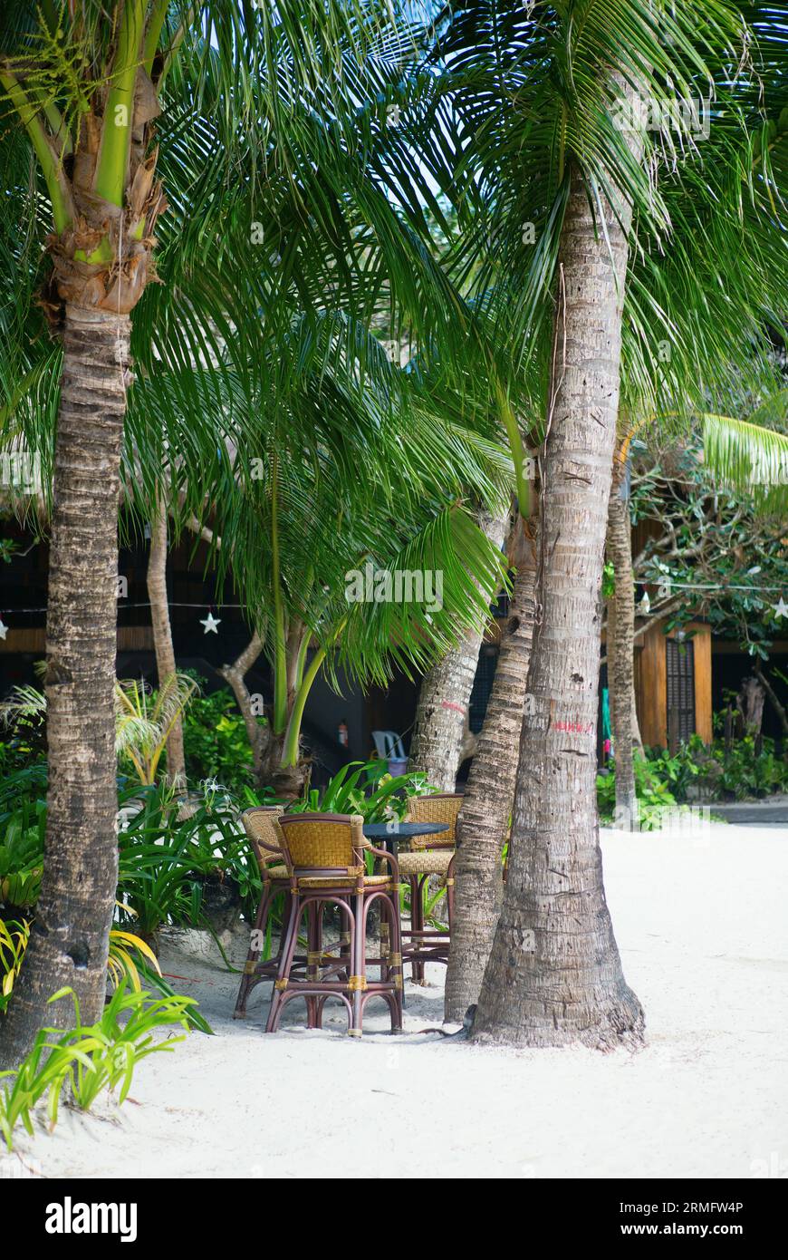 Table of a beach cafe under palm trees Stock Photo - Alamy