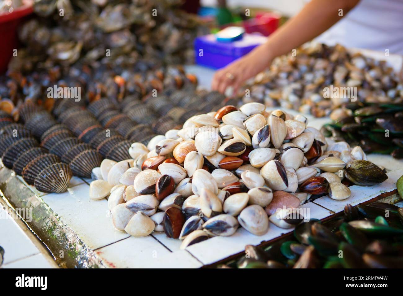 Sea clams on traditional seafood market on Boracay island in ...