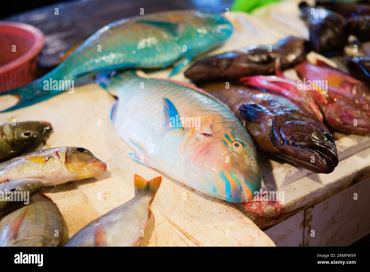 Fresh parrot fish on traditional seafood market on Boracay island in ...