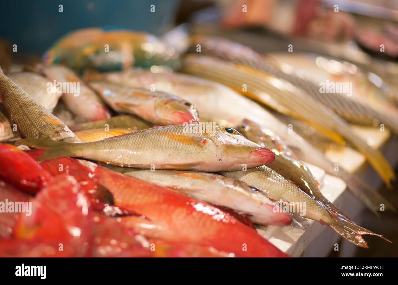 Fresh fish on a fish market, Boracay, Philippines Stock Photo - Alamy