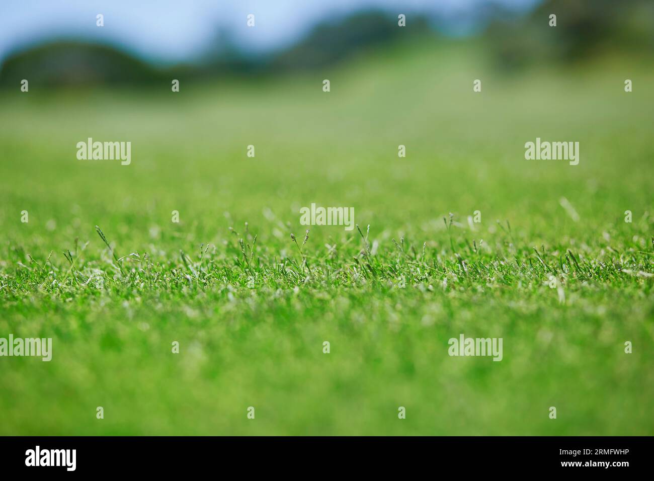 Top view green golf courses hi-res stock photography and images - Alamy