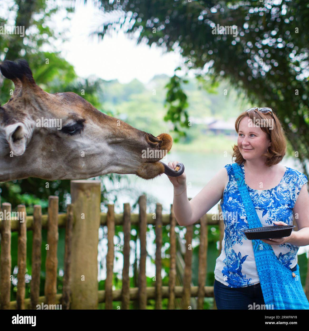 Zoo visitor hi-res stock photography and images - Alamy