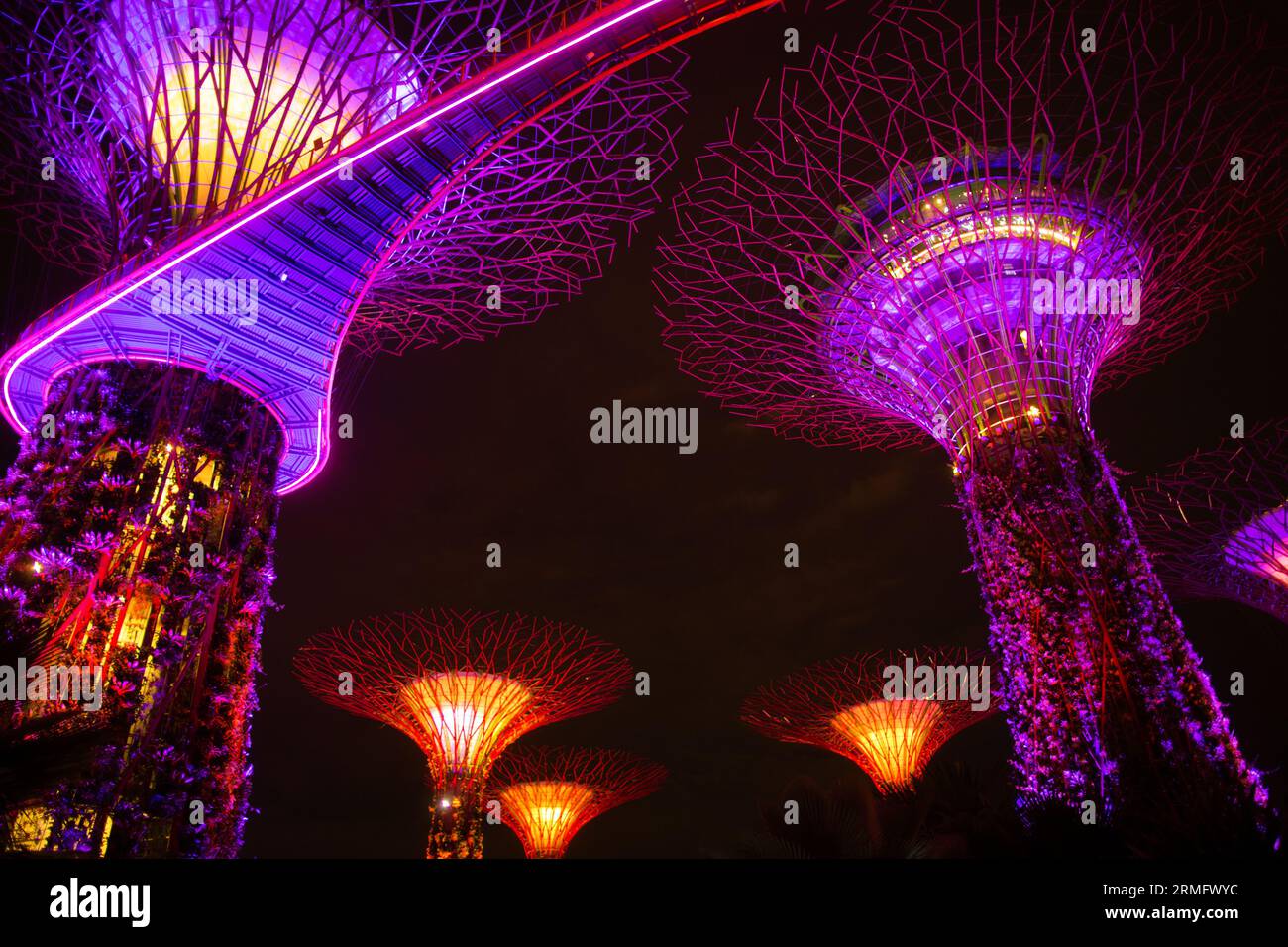 The Supertree at Gardens by the Bay seen by night Stock Photo - Alamy
