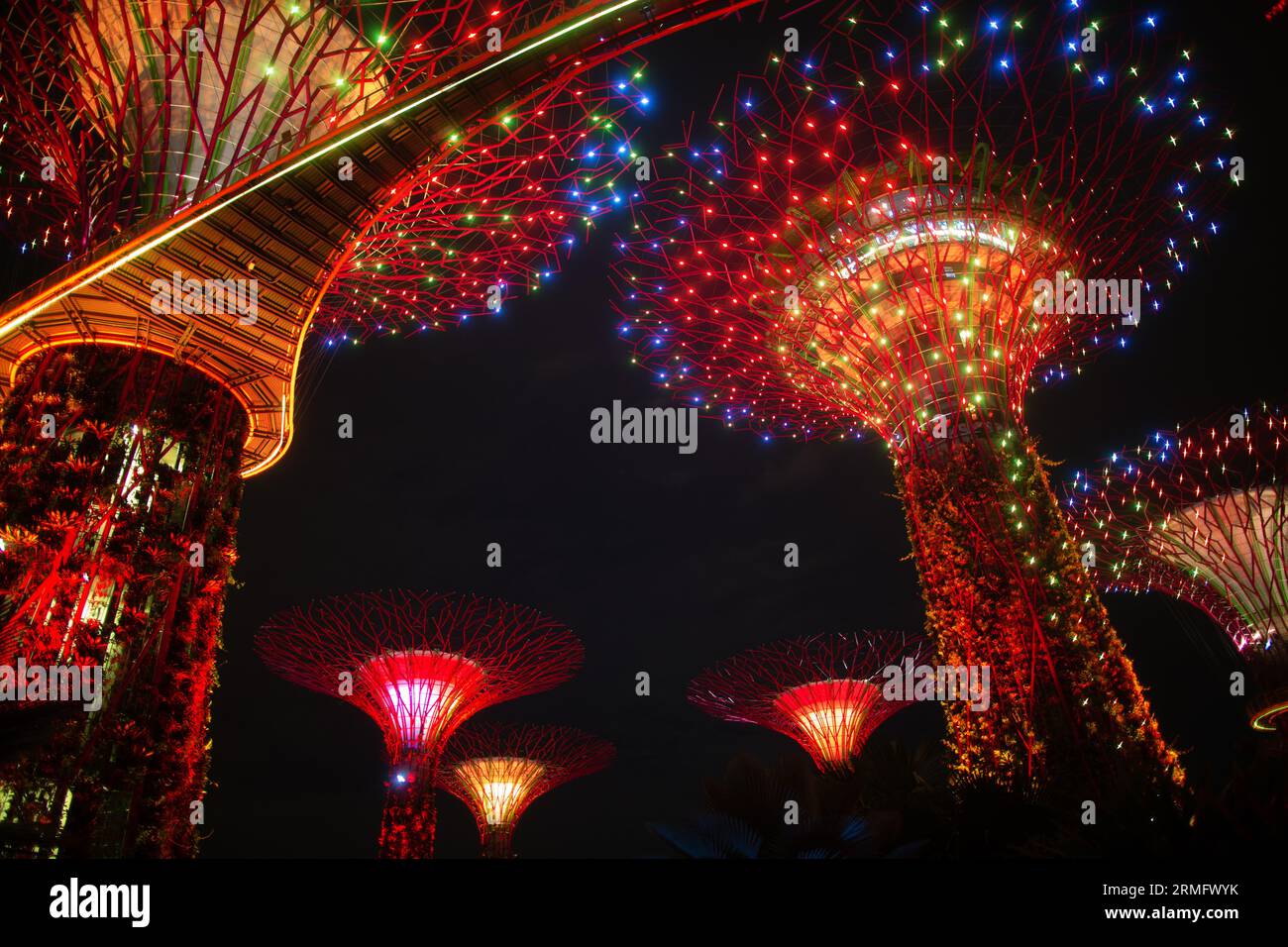 The Supertree at Gardens by the Bay seen by night Stock Photo - Alamy