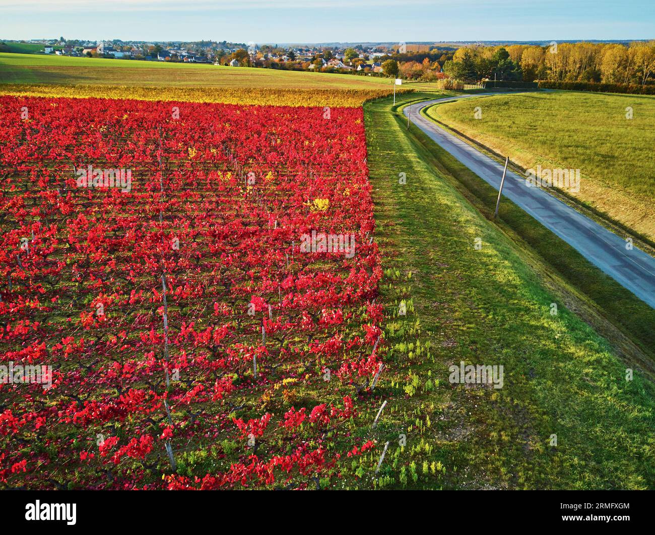 Aerial view of pastures, farmlands and vineyards in France. Beautiful ...