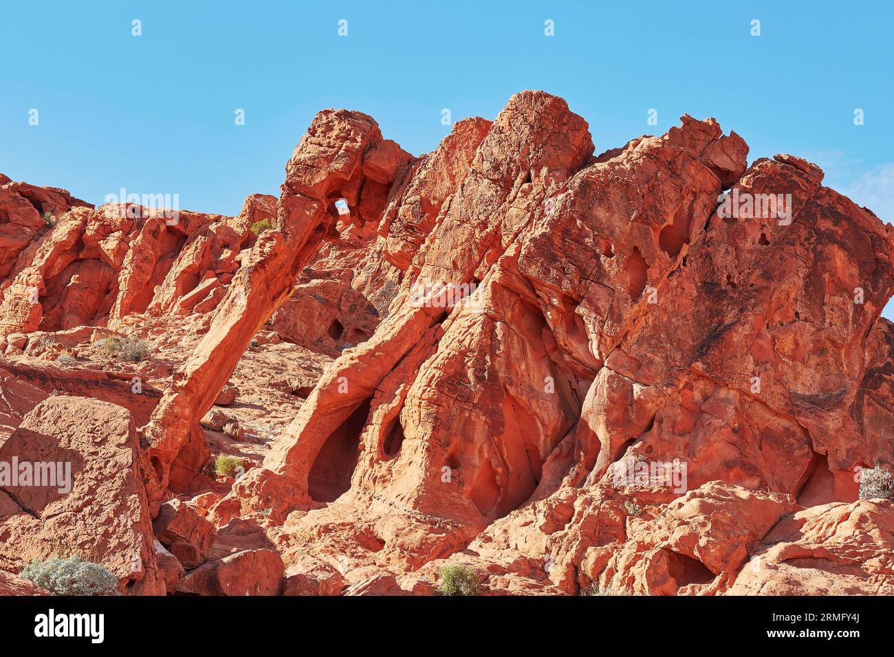 Elephant rock formation in Valley of the Fire national park in Nevada ...