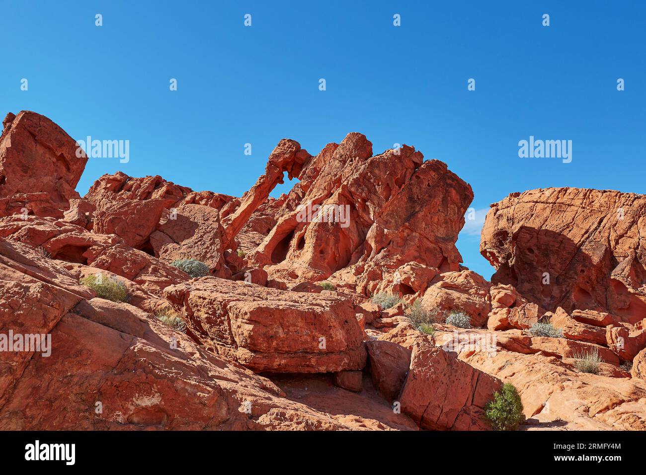 Elephant rock formation in Valley of the Fire national park in Nevada ...
