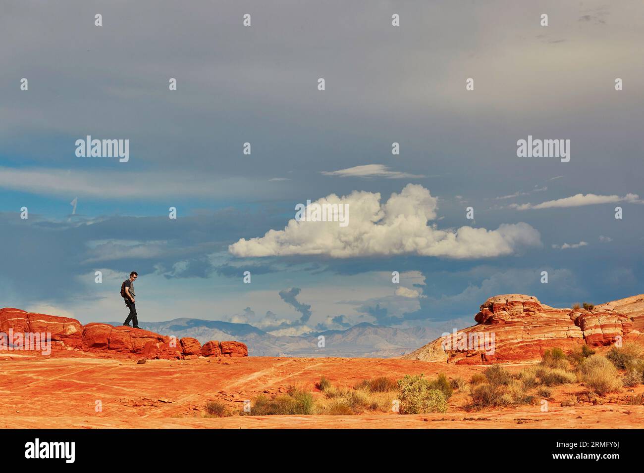 Tourist walking on red cliffs in Valley of the Fire national park ...