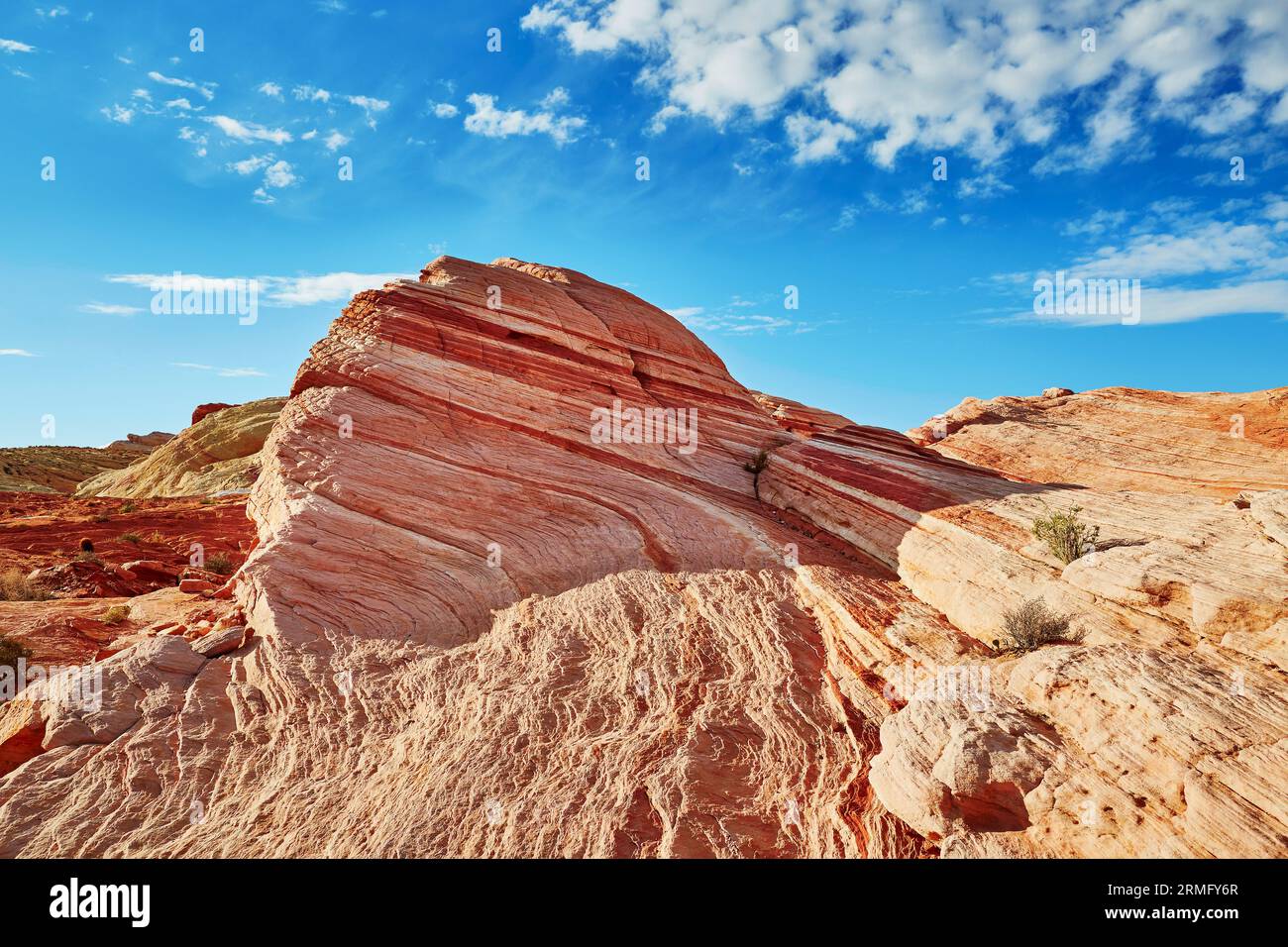 Striped colorful sedimentary rock formation called 'The Wave' in Valley ...