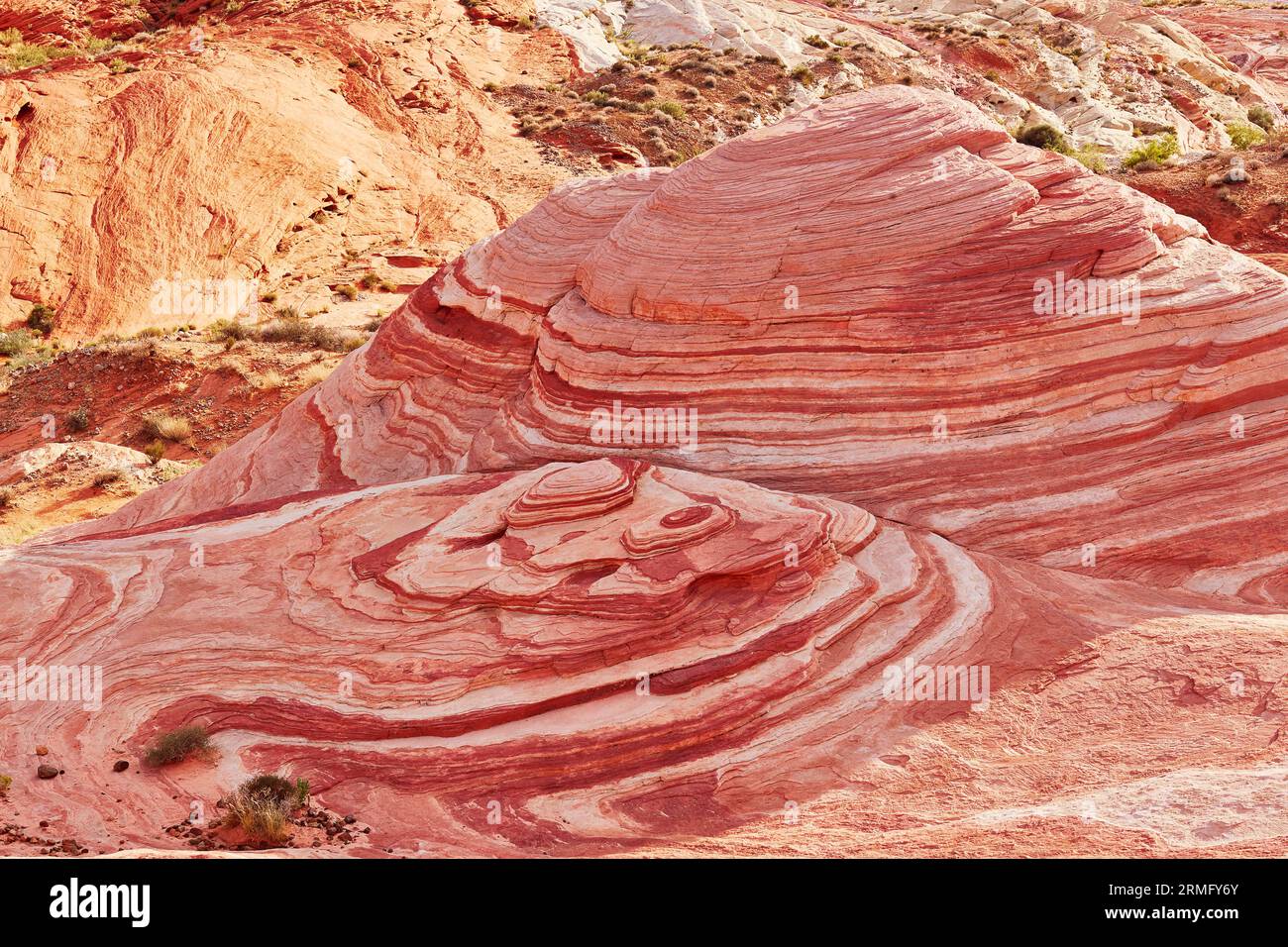 Striped colorful sedimentary rock formation called 'The Wave' in Valley ...