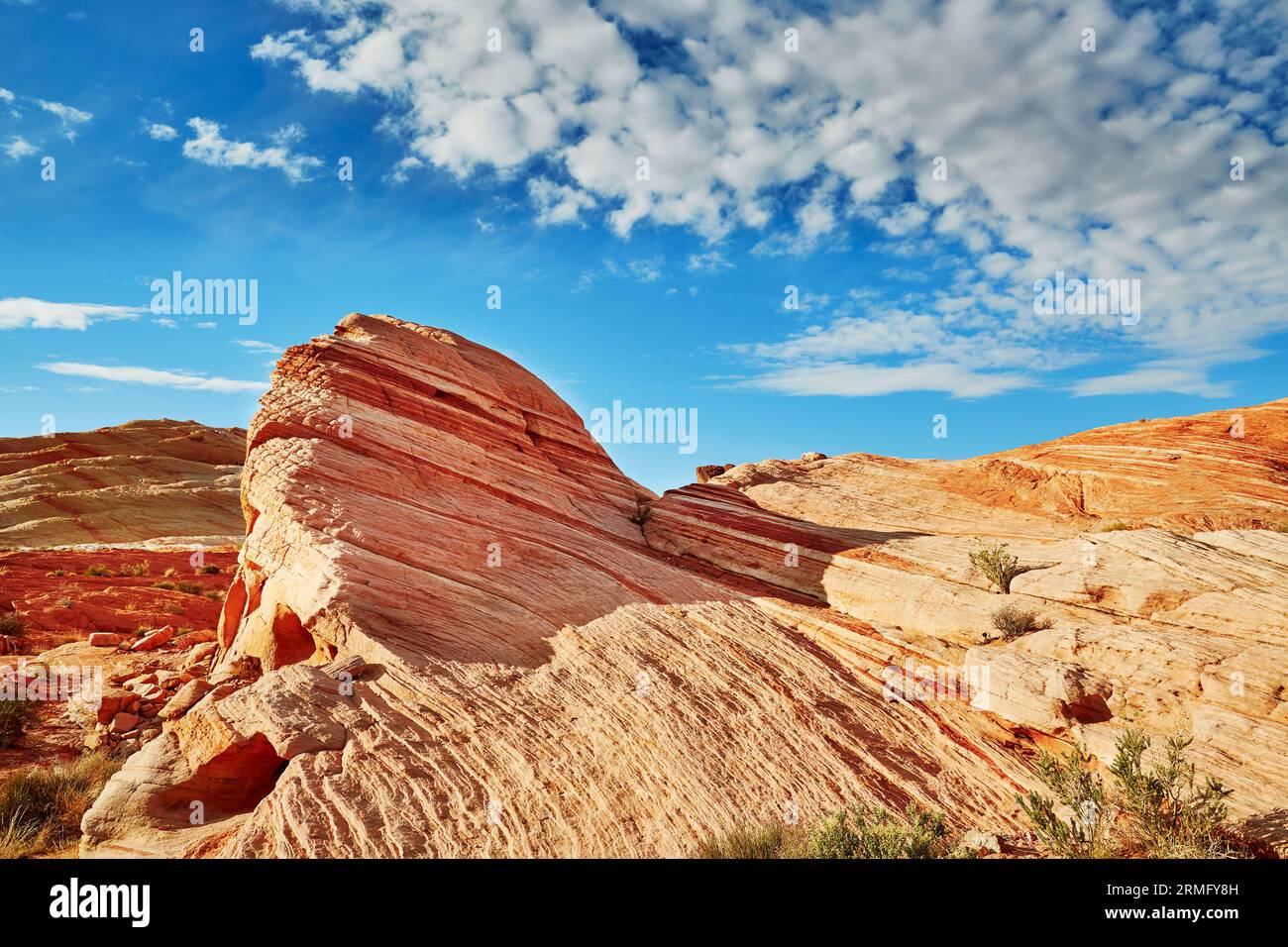 Striped colorful sedimentary rock formation called 'The Wave' in Valley ...