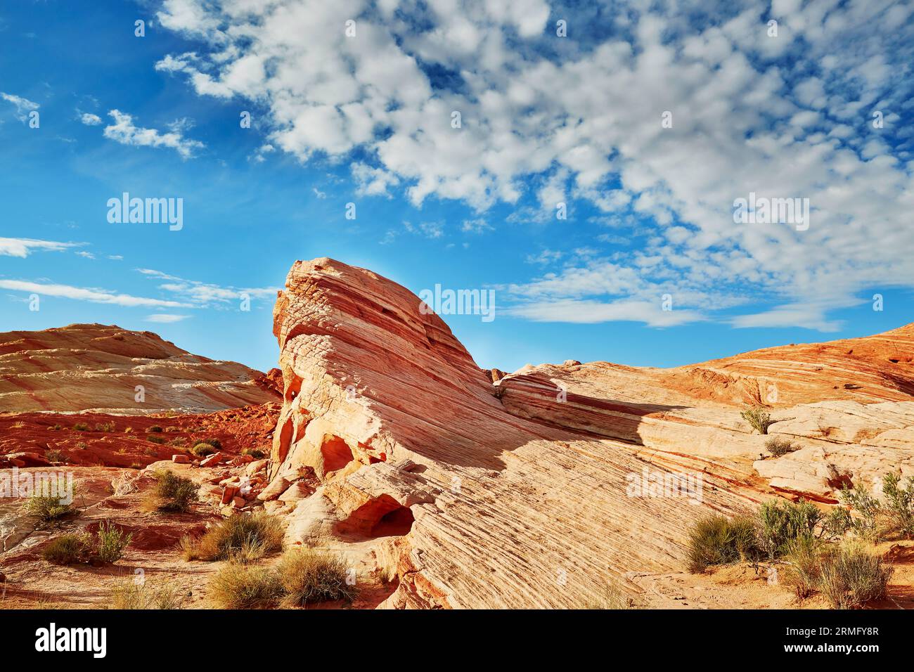 Striped colorful sedimentary rock formation called 'The Wave' in Valley ...