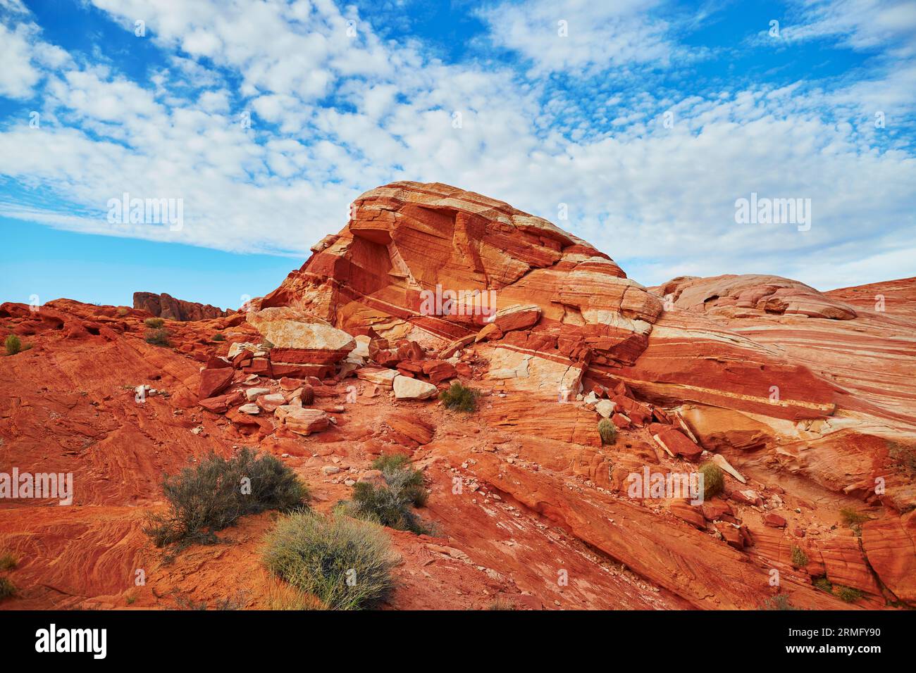 Striped colorful sedimentary rock formation called 'The Wave' in Valley ...