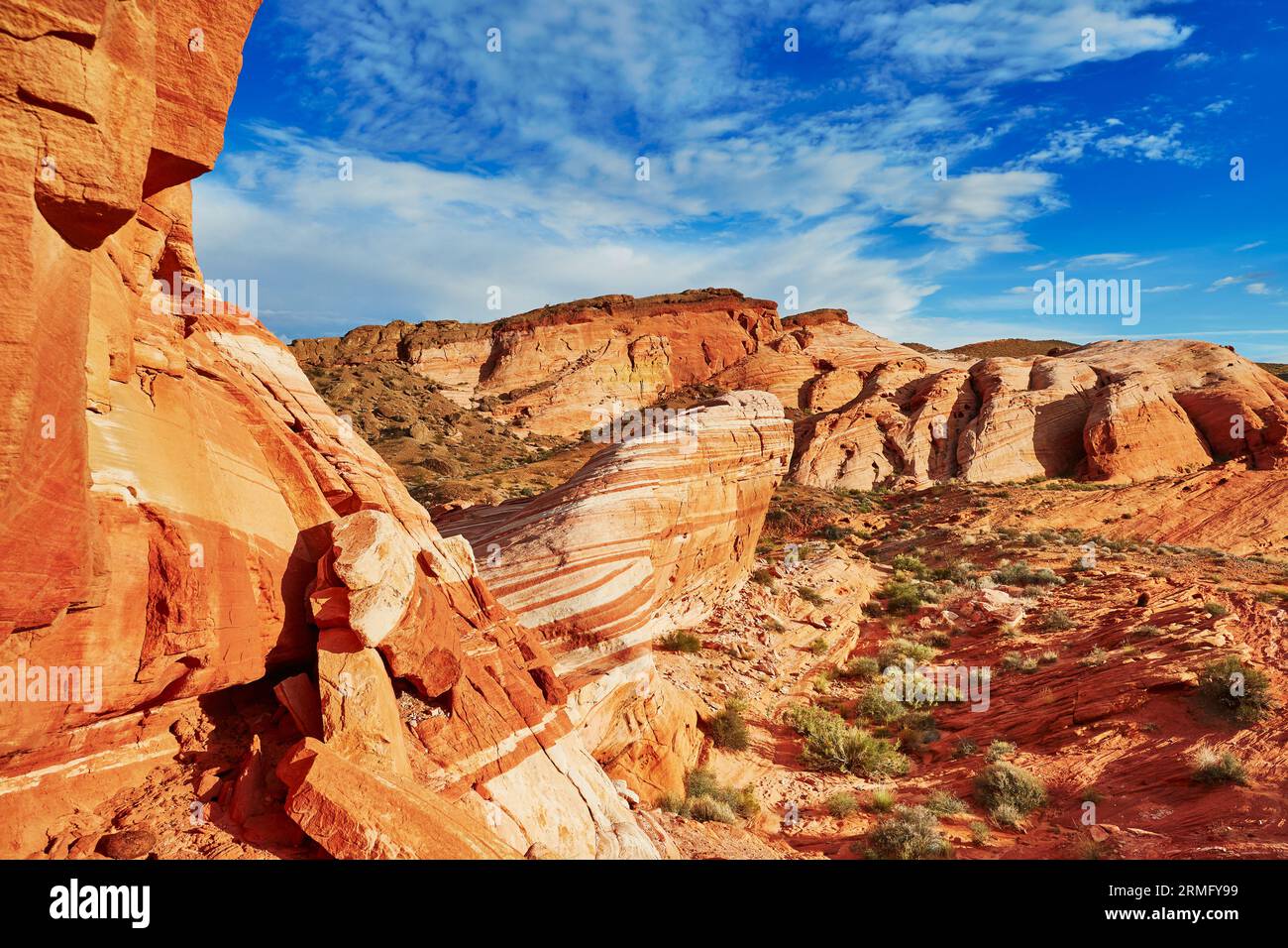 Striped colorful sedimentary rock formation called 'The Wave' in Valley ...