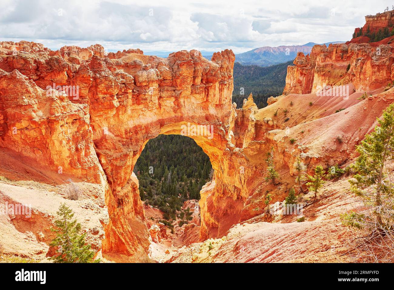 Natural bridge rock formation in Bryce Canyon National Park, Utah, USA ...