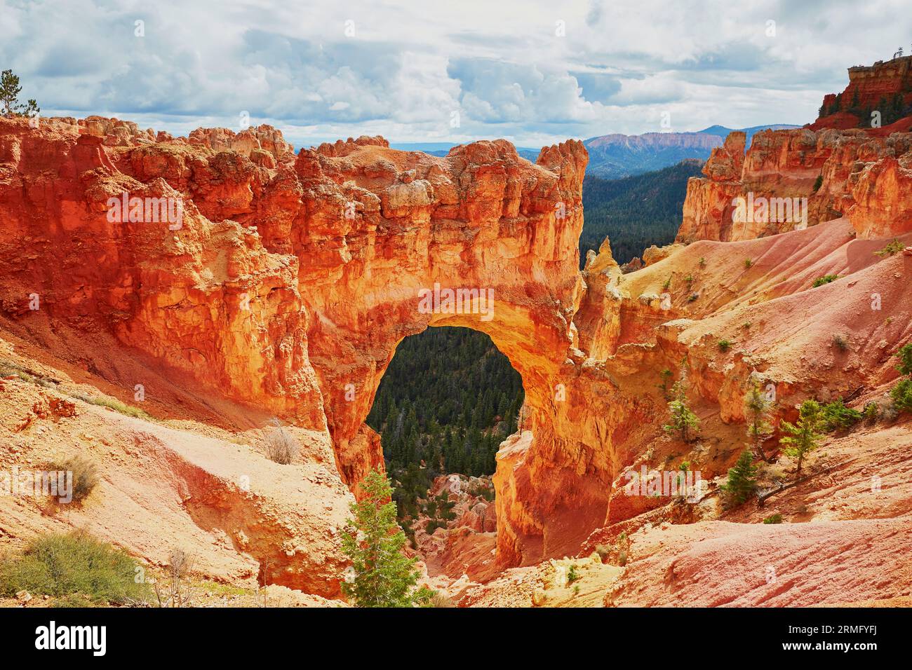 Scenic view of stunning red sandstone natural bridge in Bryce Canyon ...