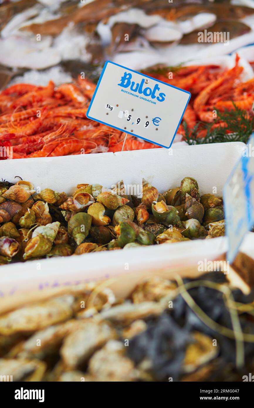 Fresh Buccinidae snails on farmer market in Paris, France. Typical ...