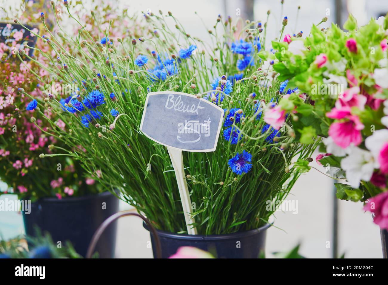 Cornflowers on farmer market in Paris, France. Typical European flower ...
