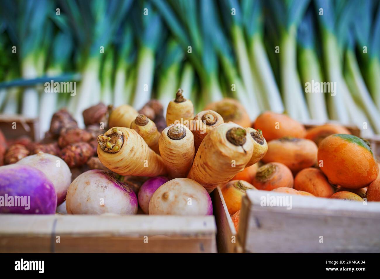 Fresh organic parsnip, turnip, carrots and leek on farmers market in ...