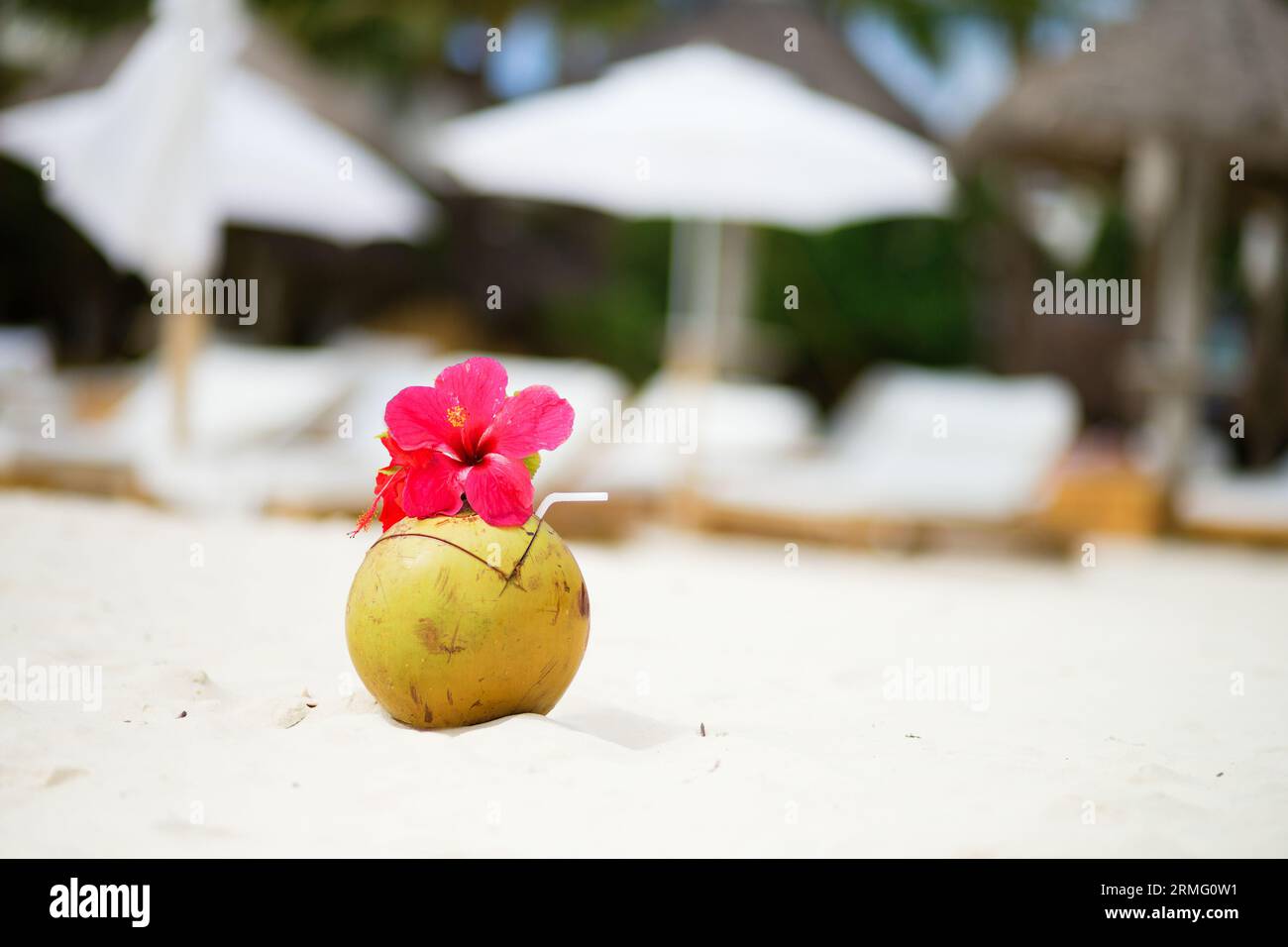 Coconut with drinking straw on white sand tropical beach Stock Photo ...