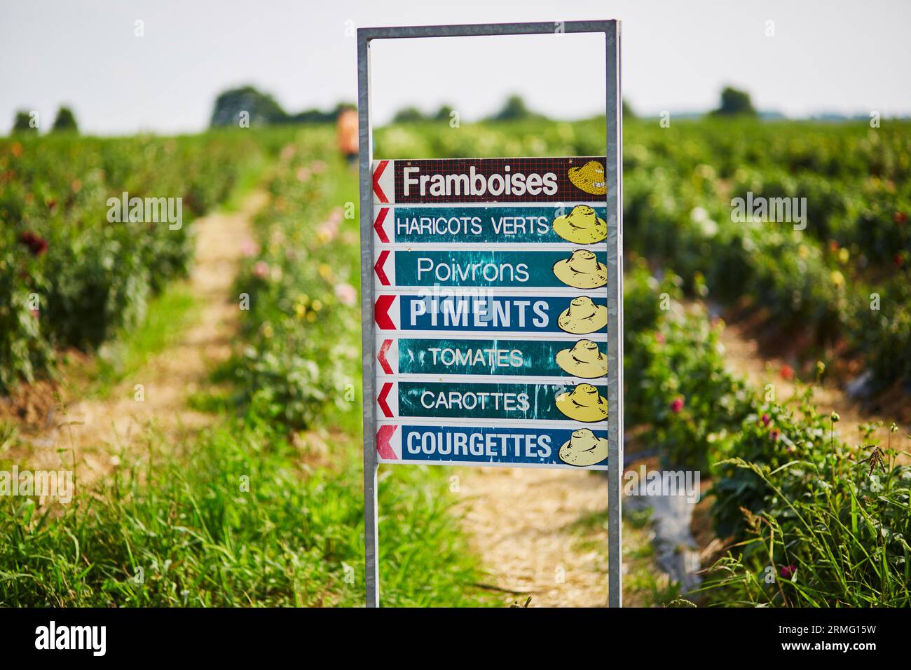 Indicators letters hi-res stock photography and images - Alamy