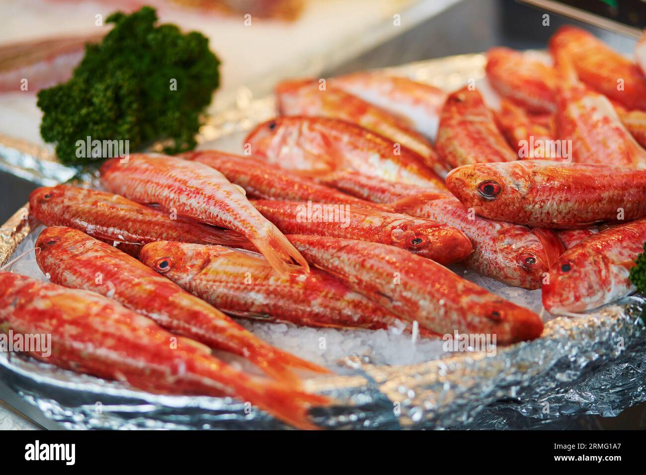 Many surmullets on fish market in Paris, France Stock Photo - Alamy