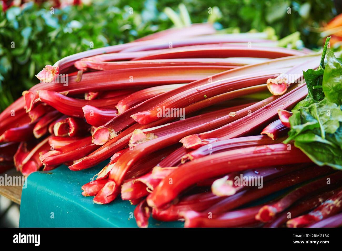 Large heap of fresh ripe organic rhubarb on farmer market in Paris ...
