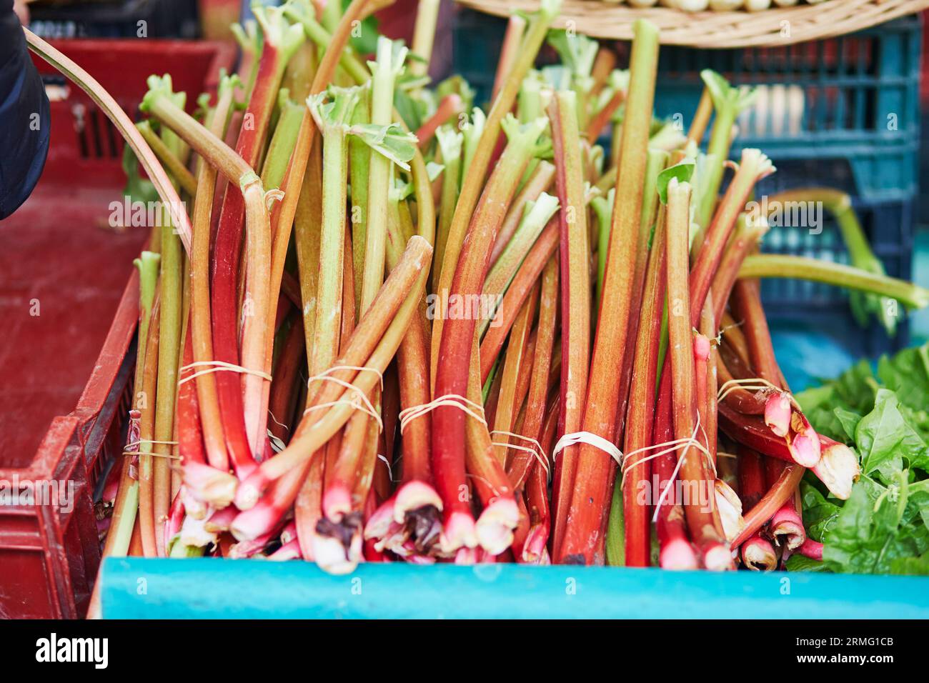 Large heap of fresh ripe organic rhubarb on farmer market in Paris ...