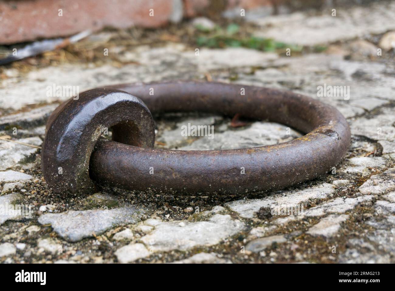 Attached to a granite stone hi-res stock photography and images - Alamy