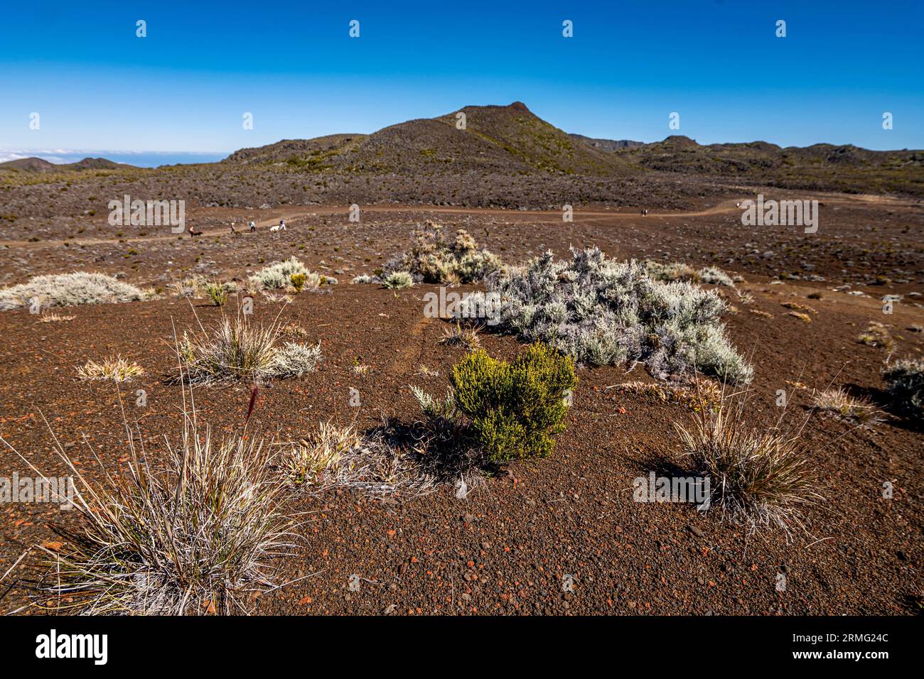 Lava road to volcano of Piton de La Fournaise La Reunion Indian Ocean ...