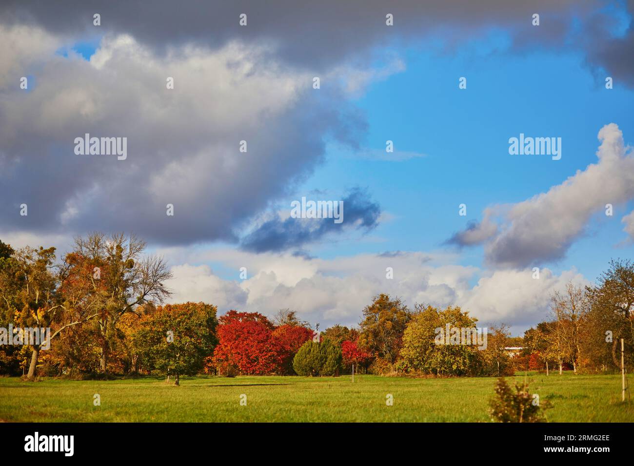 Beautiful Arboretum of Versailles near Paris, France on a bright sunny ...