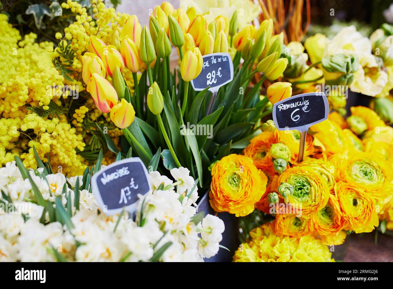 Outdoor flower market with mimosa, ranunculuses and narcissi in Paris ...