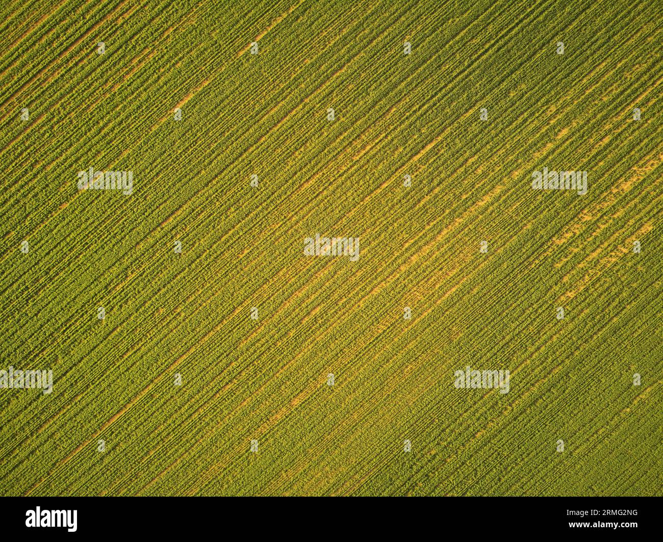 Aerial view of pastures and farmlands in France. Beautiful French ...