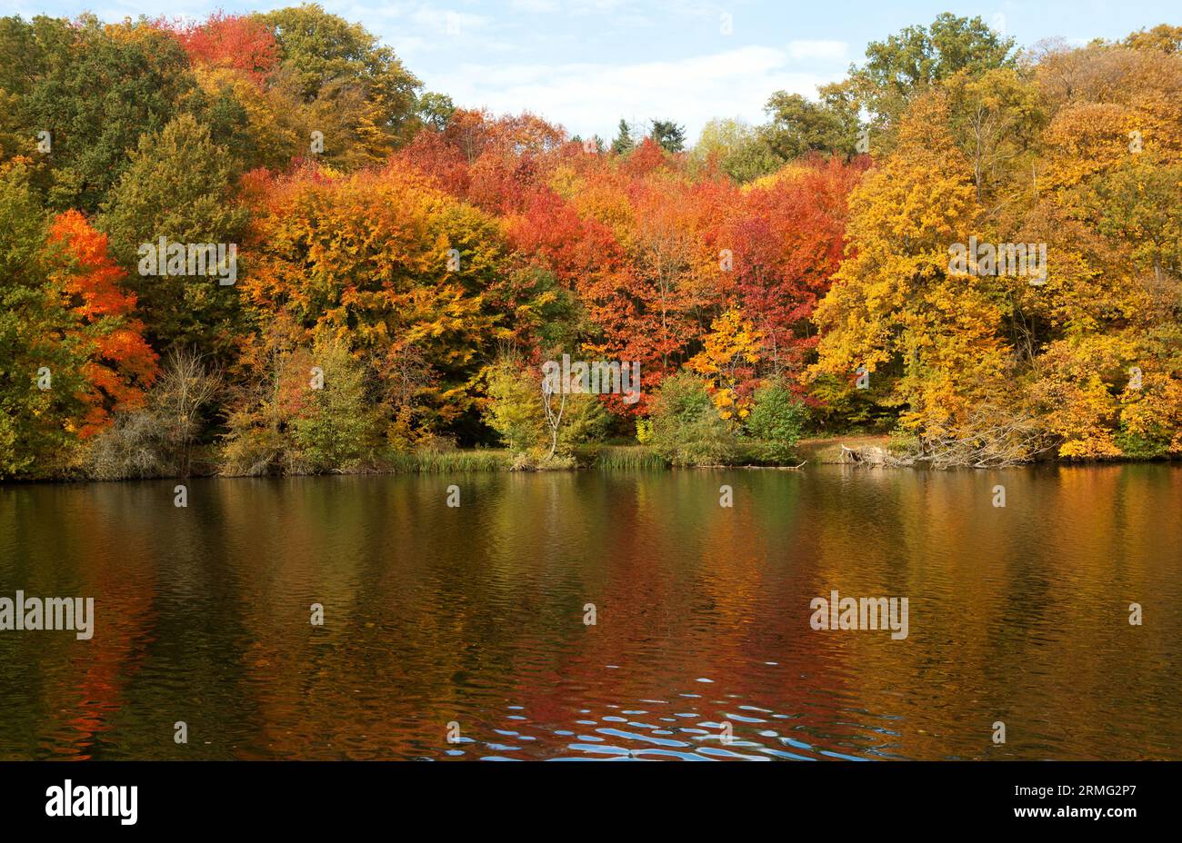 Bright autumn trees with their reflection in water Stock Photo - Alamy
