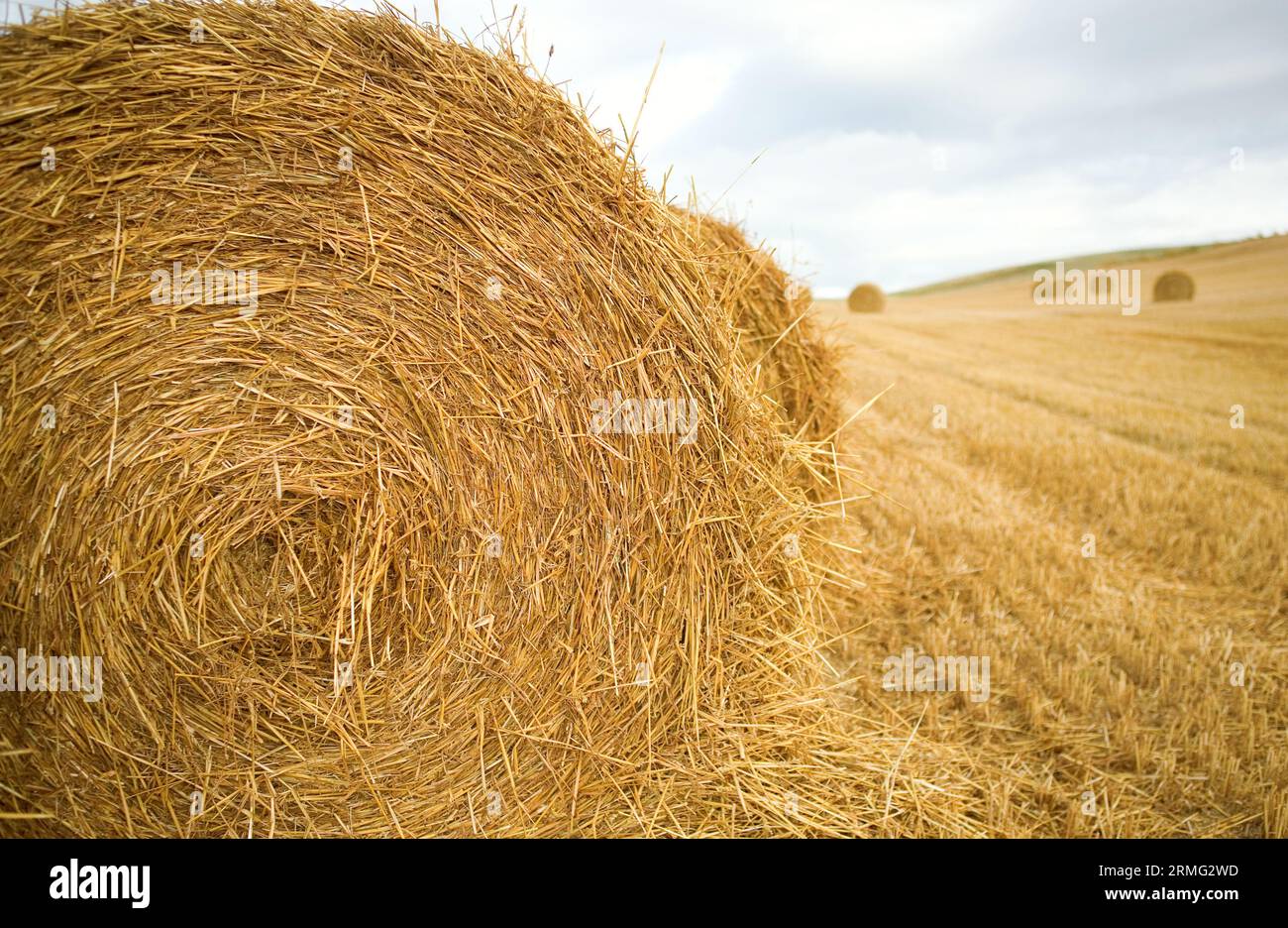 Golden hay bales hi-res stock photography and images - Alamy