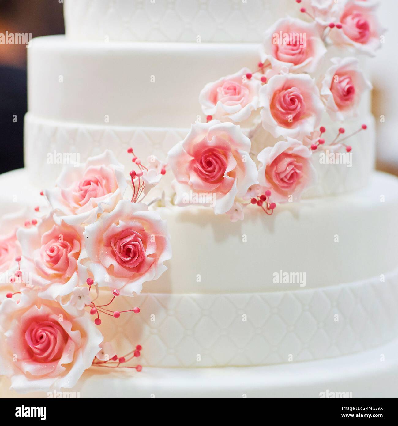 Sugar pink roses hi-res stock photography and images - Alamy