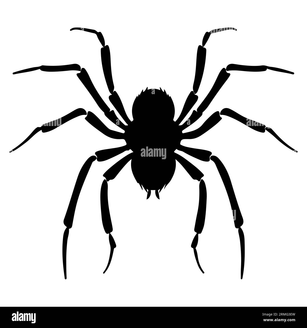 Black spider icon. Vector illustration isolated on white background ...