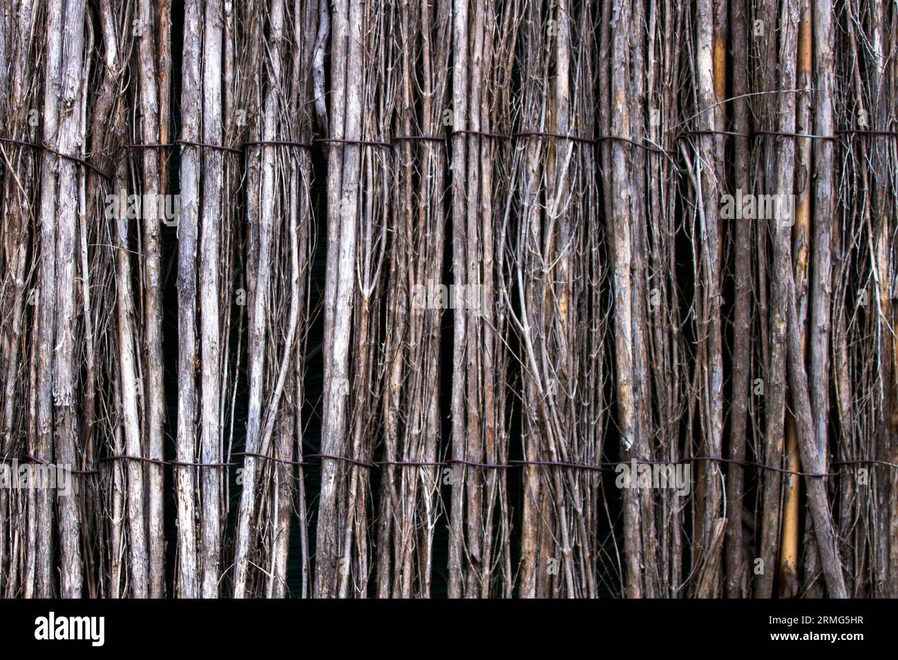 dry tree branches entwined in wire, horizontal background Stock Photo ...