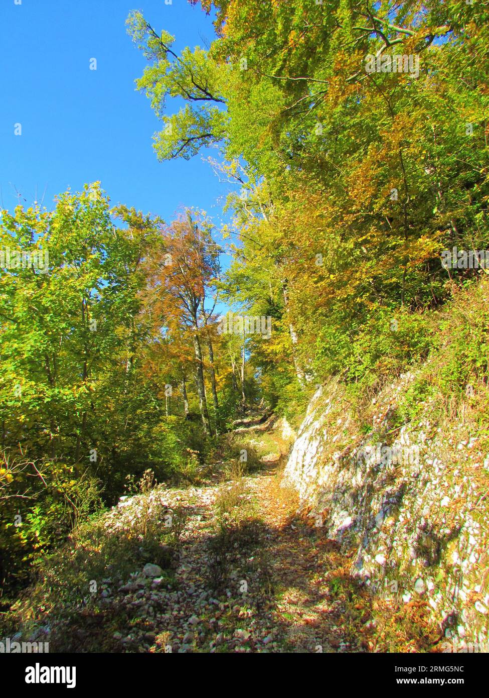 Wide path carved into a steep slope under Sveti Jakob in Slovenia ...