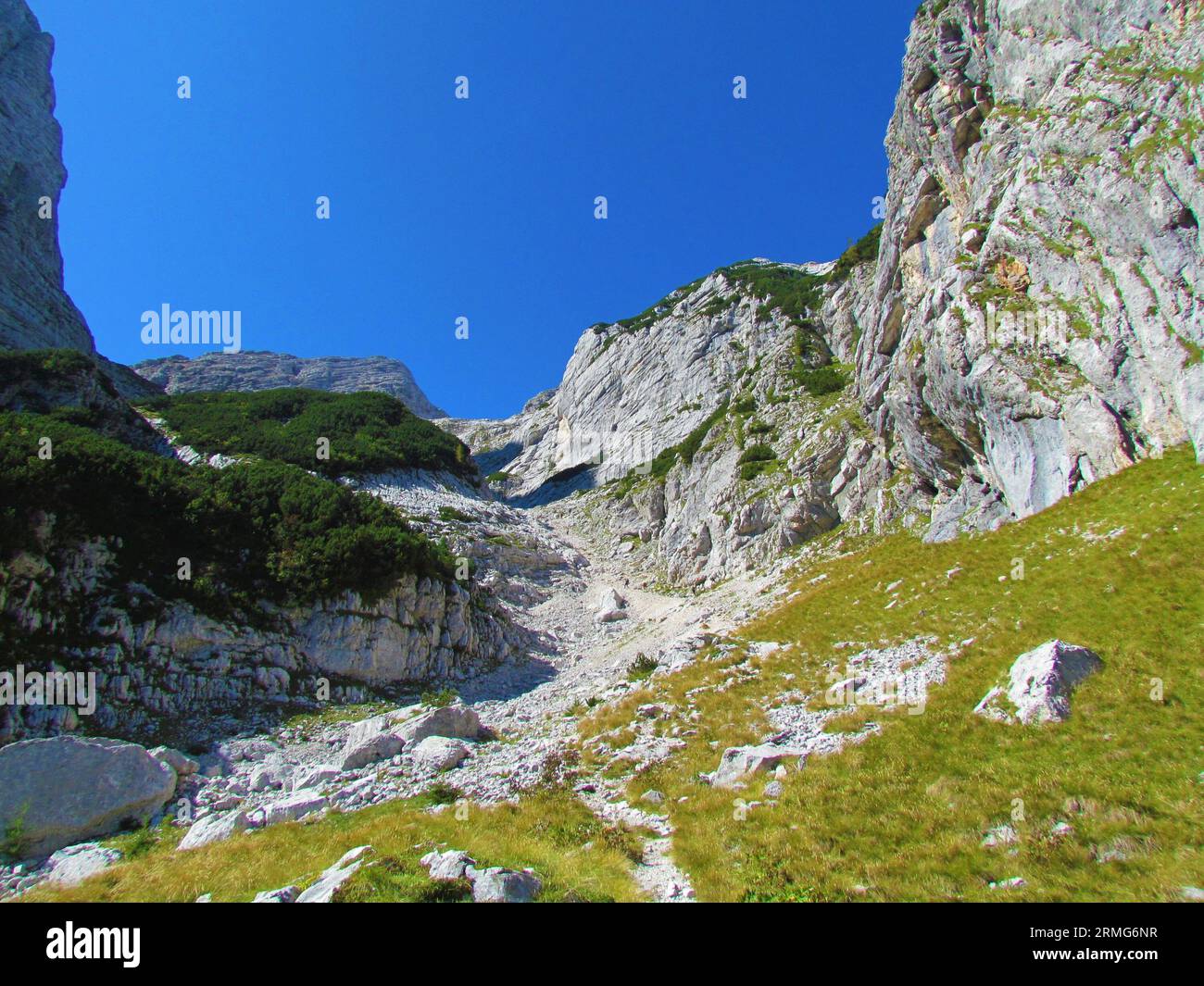 High alpine valley covered in creeping pine, meadow and a rocks with ...