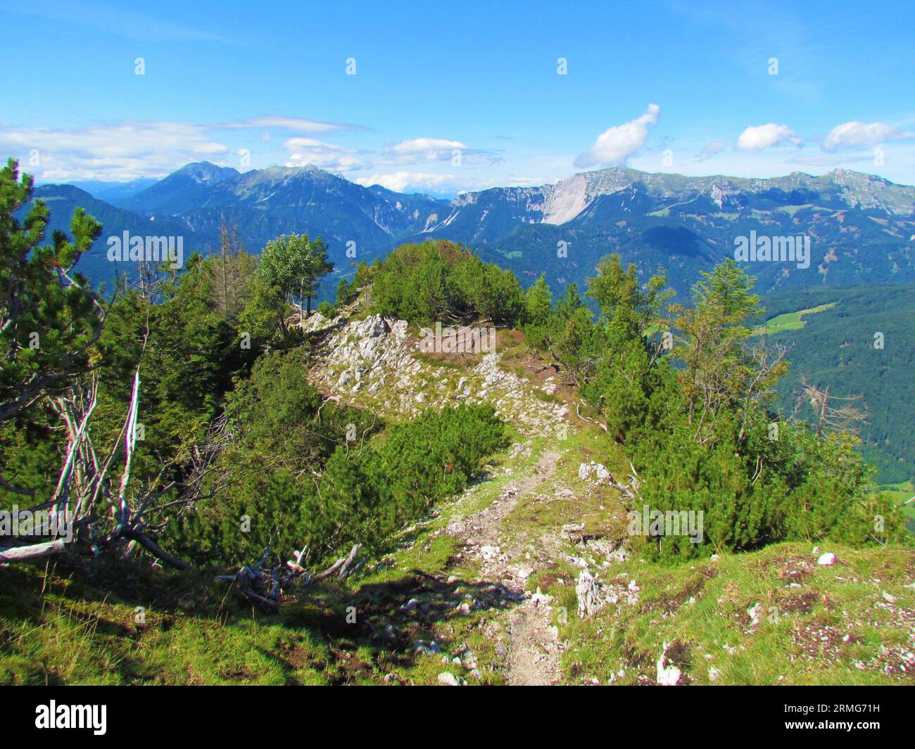 Stol vrh hi-res stock photography and images - Alamy