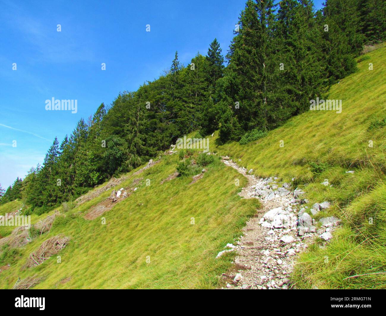 Path leading past a steep slope under Kriska gora in Slovenia leading ...
