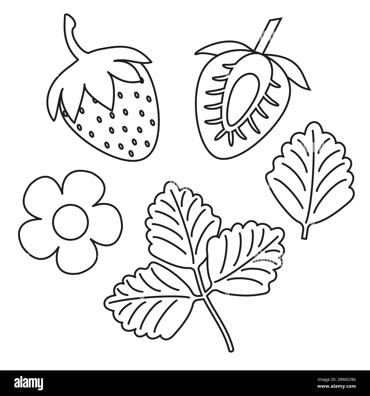 Strawberries Clip Art Black And White
