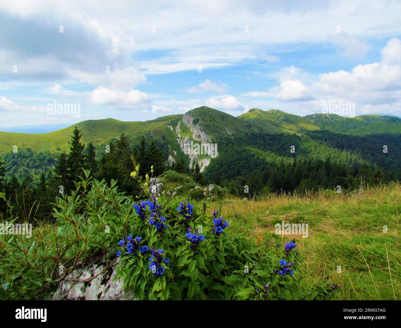 View of Ratitovec mountain range covered in pastures rising above above ...