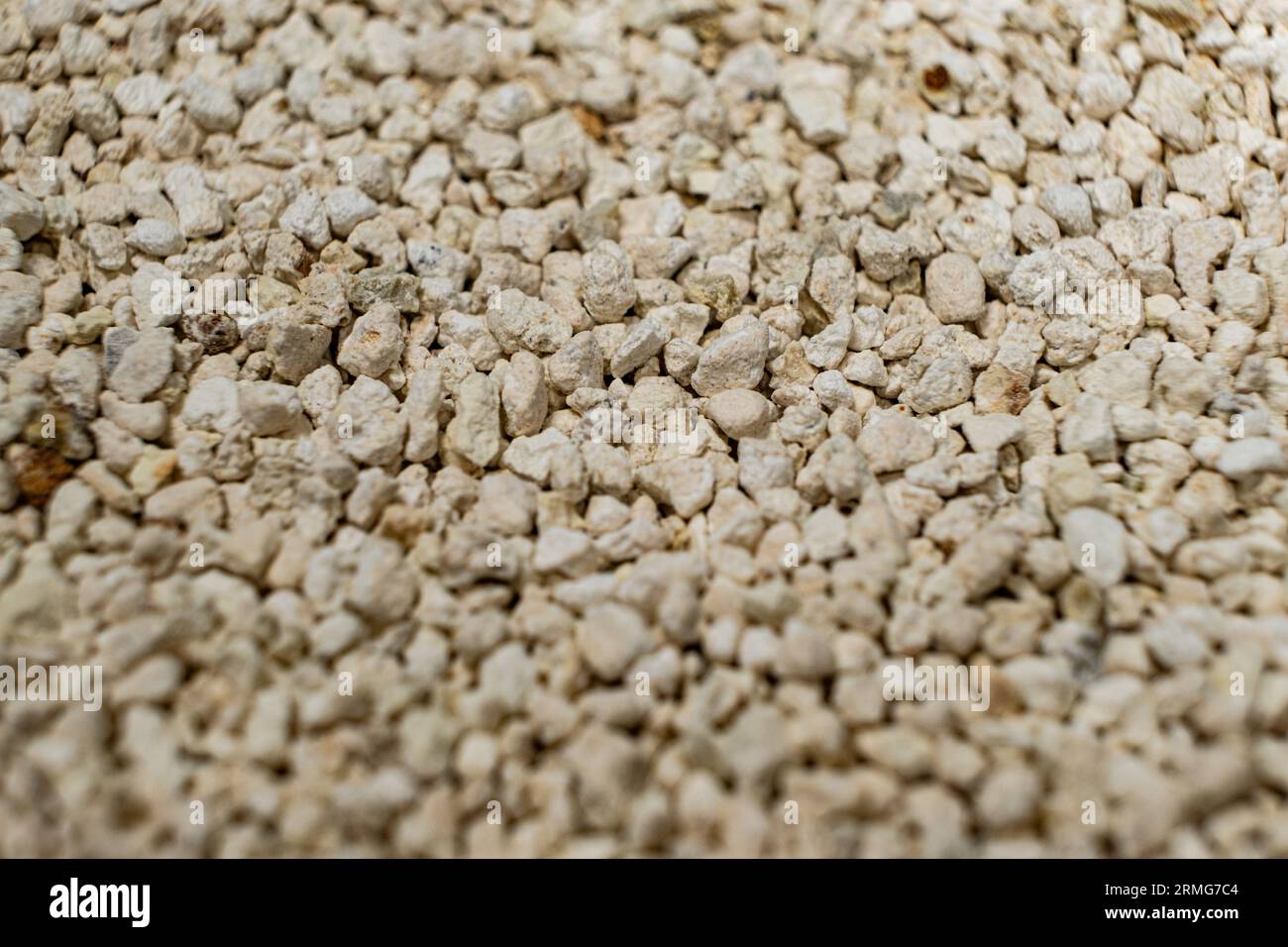 Bentonite clumping clay litter for cat litter box and pets close-up ...