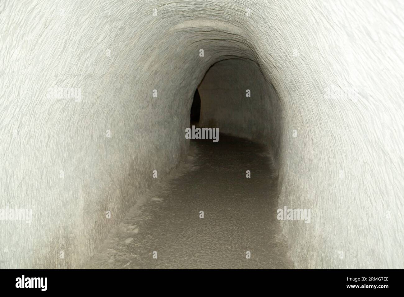 Three hundred years old in chalk carved tunnels over twenty meters ...