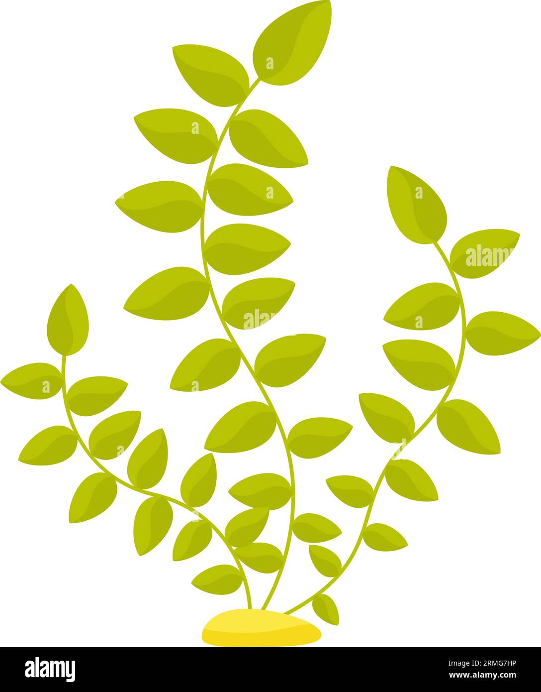 Vector illustration. Underwater seaweed cartoon clipart. isolated ...